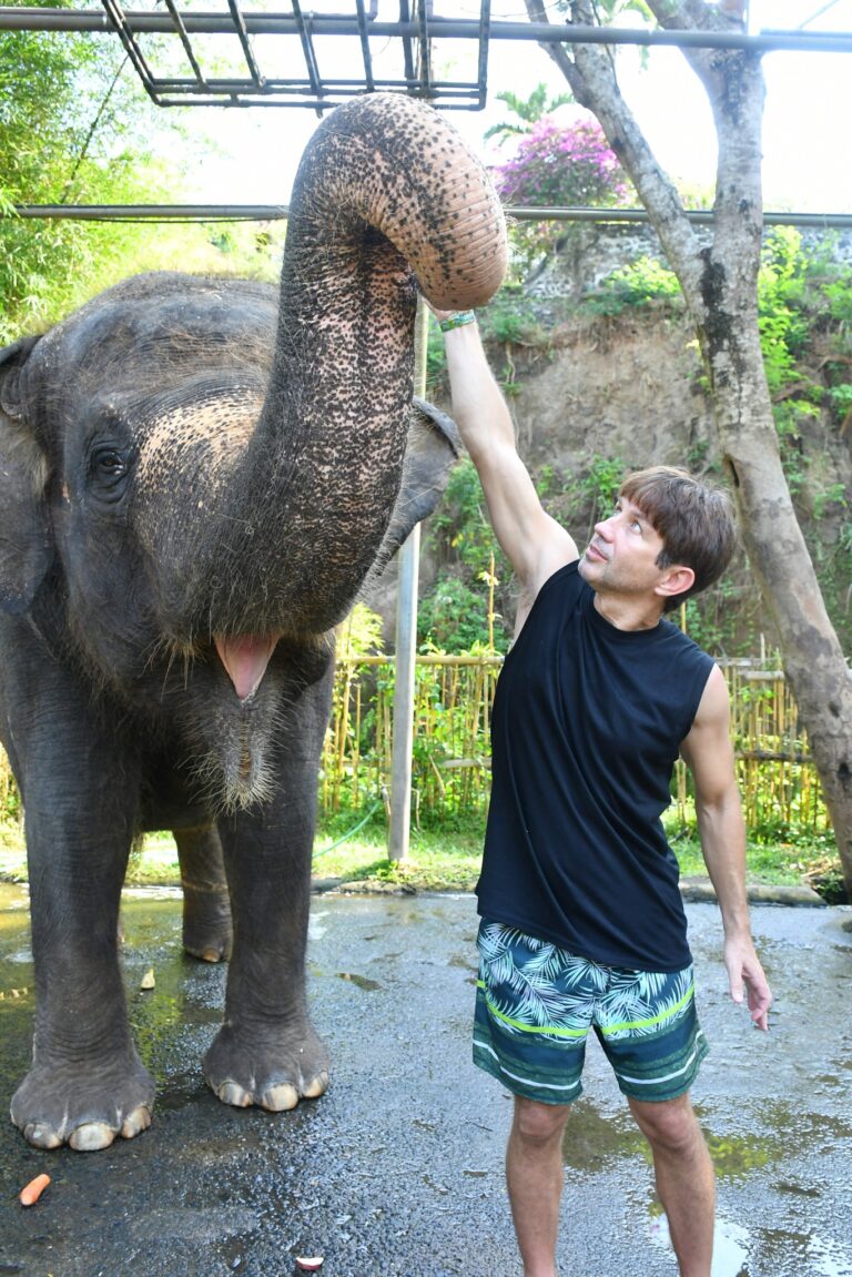 Sadly Sinkable Molly, the Sumatran Elephant | Bali Discovery