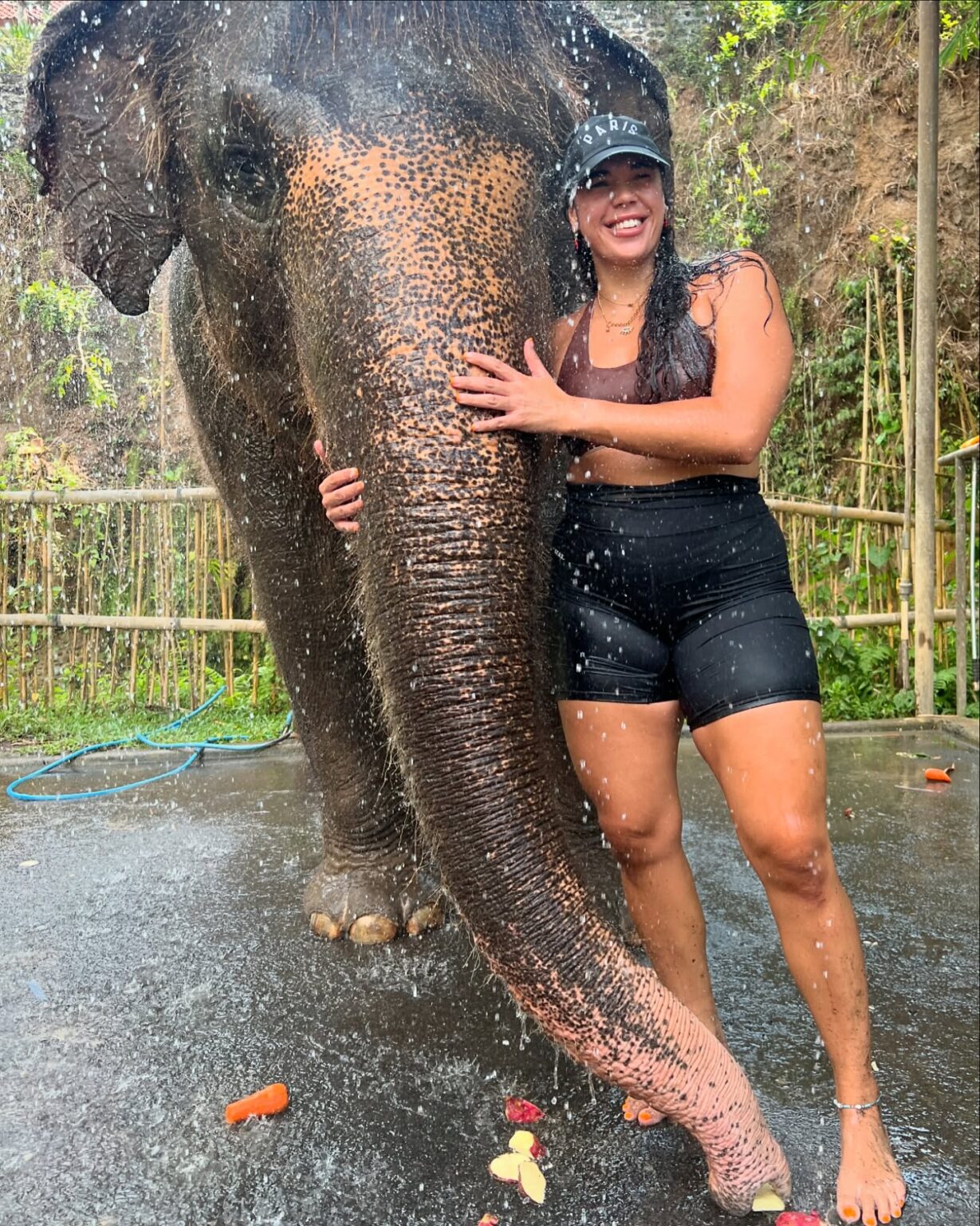 Sadly Sinkable Molly, the Sumatran Elephant | Bali Discovery