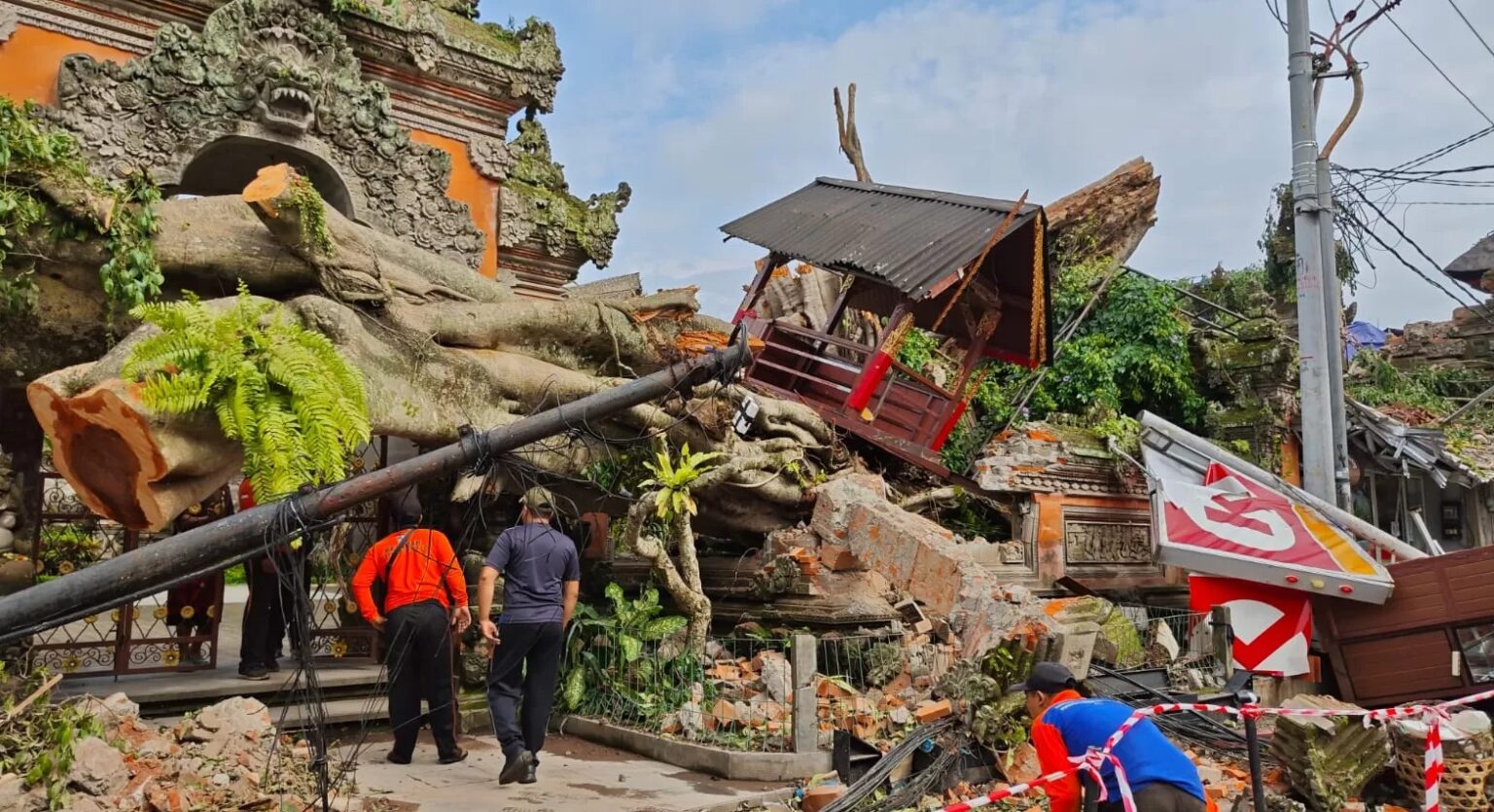 Ubud Palace Hosts Balancing Ceremony After Ancient Tree Falls | Bali ...