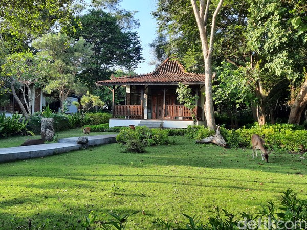 Parliamentarian Committee Closes Plataran Villas in Buleleng, North ...