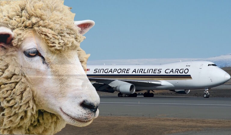 The “Who’s Ewes” in the “Annals” of Bali Aviation History | Bali Discovery